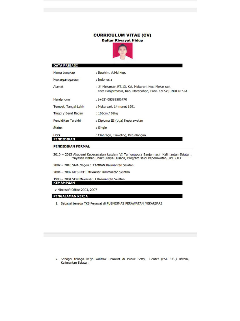 CV Ibrahim | PDF