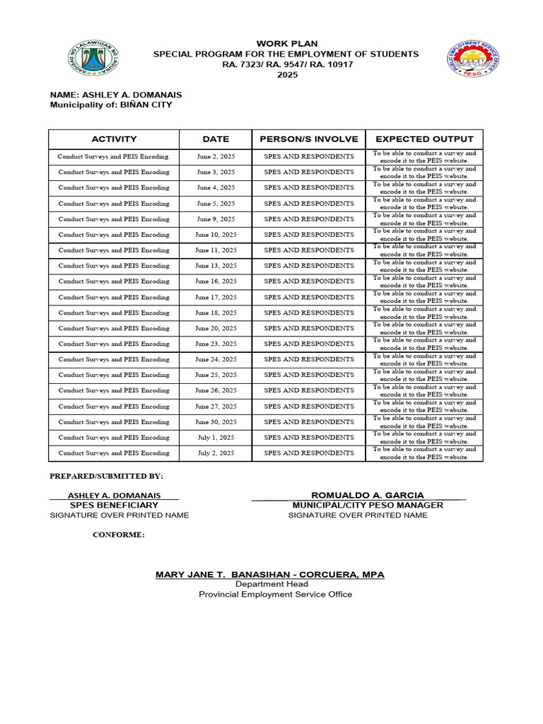 SPES Work Plan for 2025 Surveys | PDF