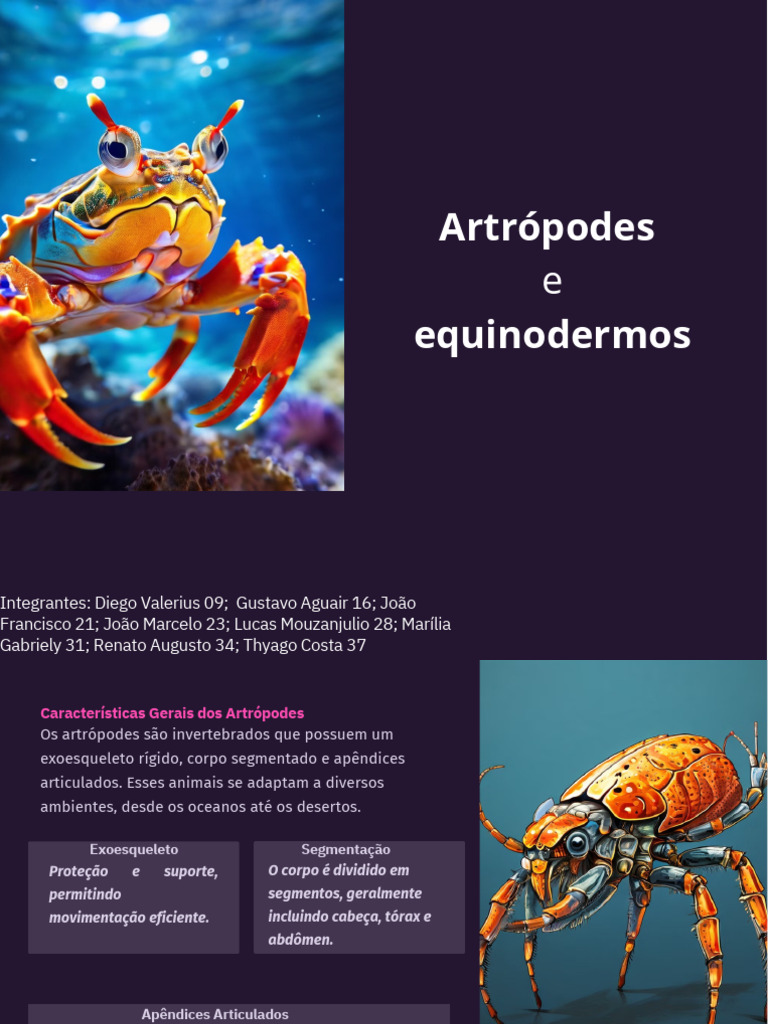 Introducao-aos-Artropodes-e-Equinodermos | PDF | Insetos | Artrópodes