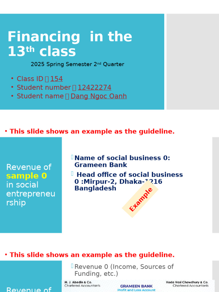 13th Class Financing | PDF | Revenue | Business