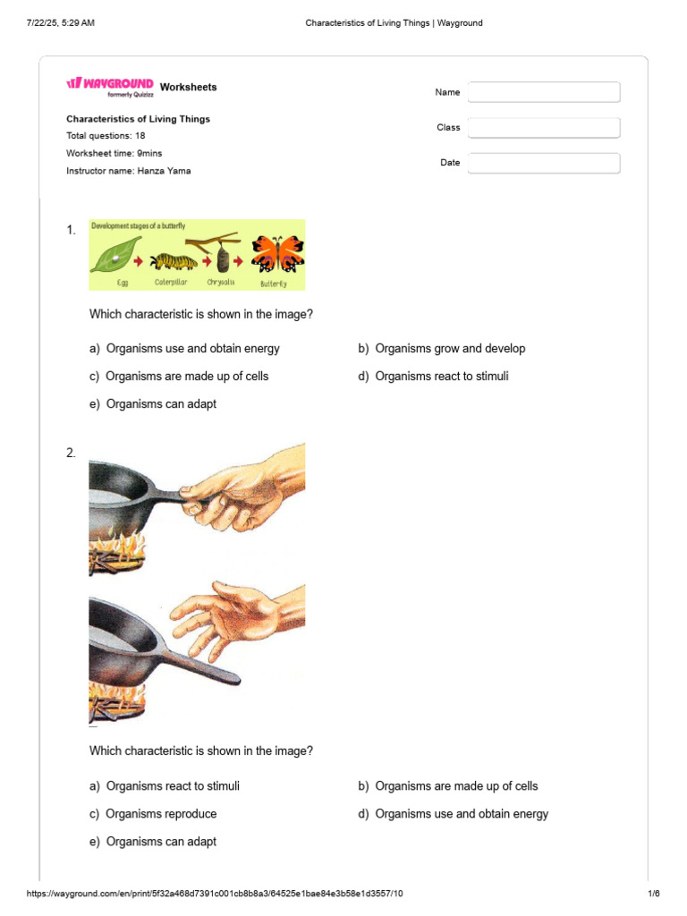 Characteristics of Living Things Quiz | PDF | Life | Organisms