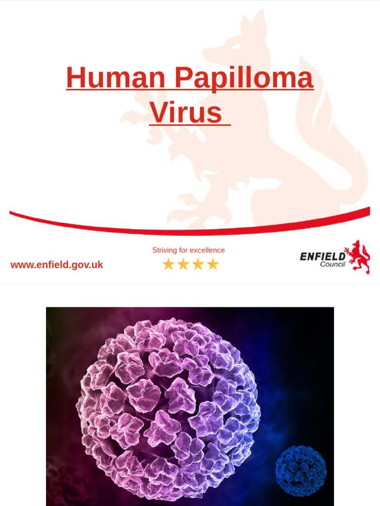 HPV For Schools Healthy Enfield | PDF | Cervical Cancer | Gynaecologic Disorders