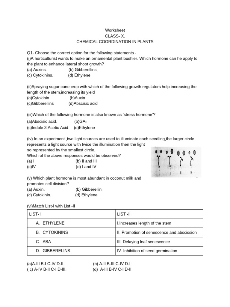 Chemical Coordination Test | PDF | Plant Hormone | Auxin