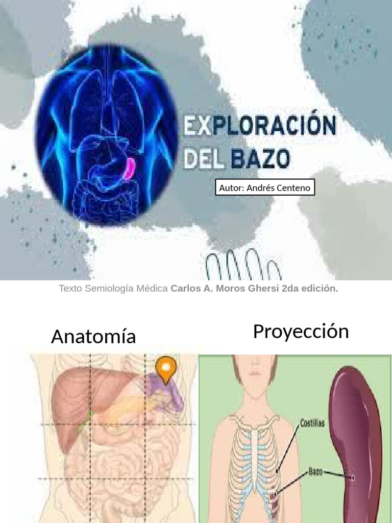 Exploracion Del Bazo | PDF