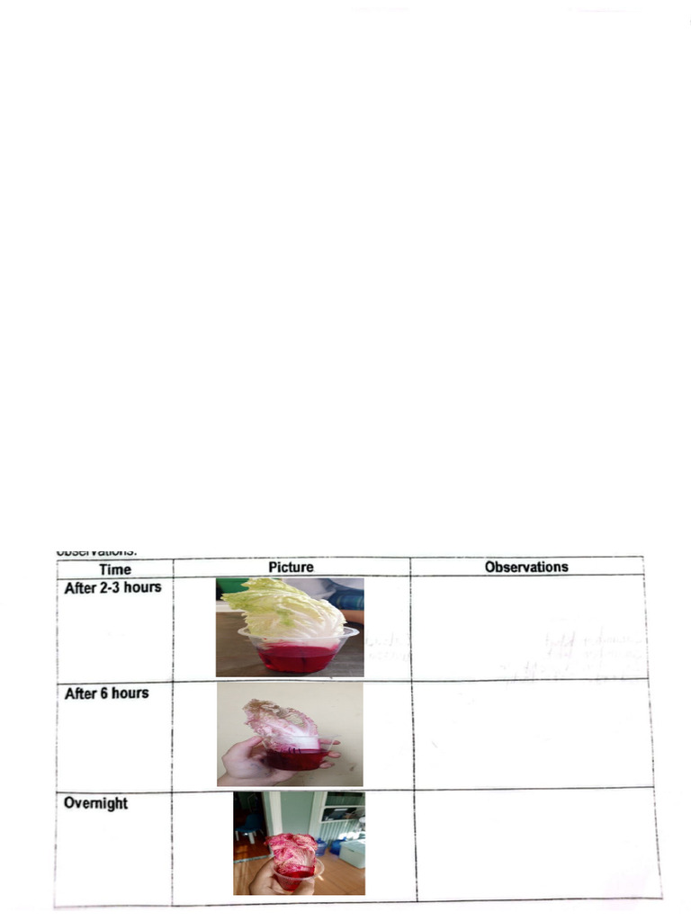 Kitkat Science | PDF