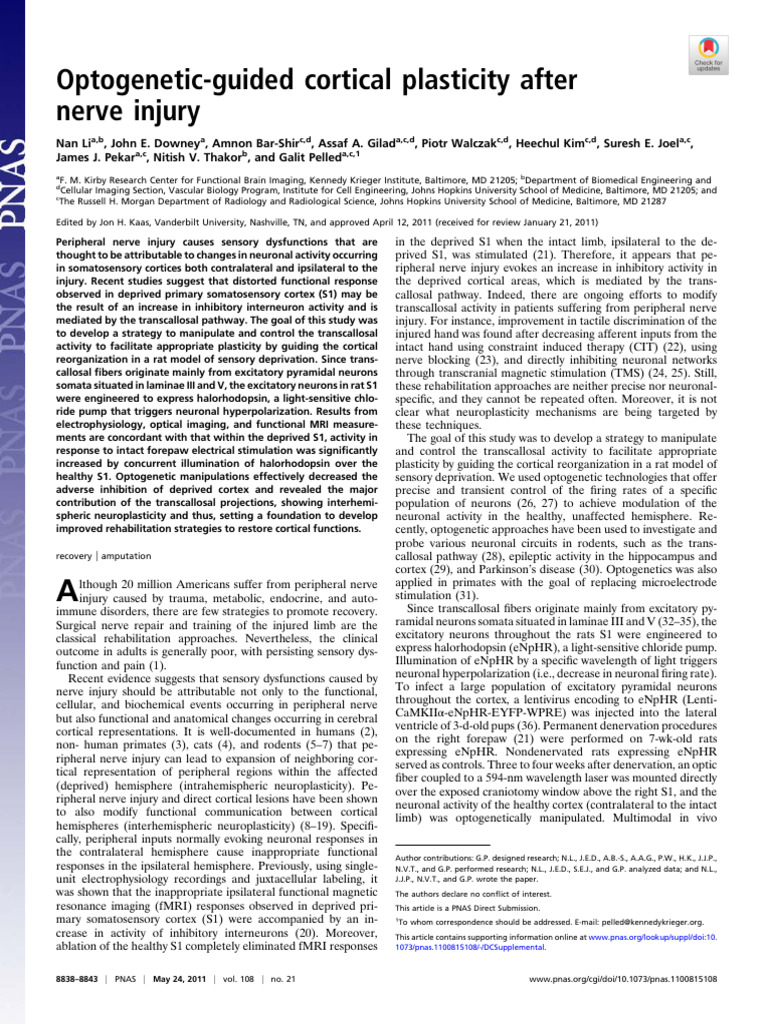 Li Et Al Optogenetic Guided Cortical Plasticity After Nerve Injury ...