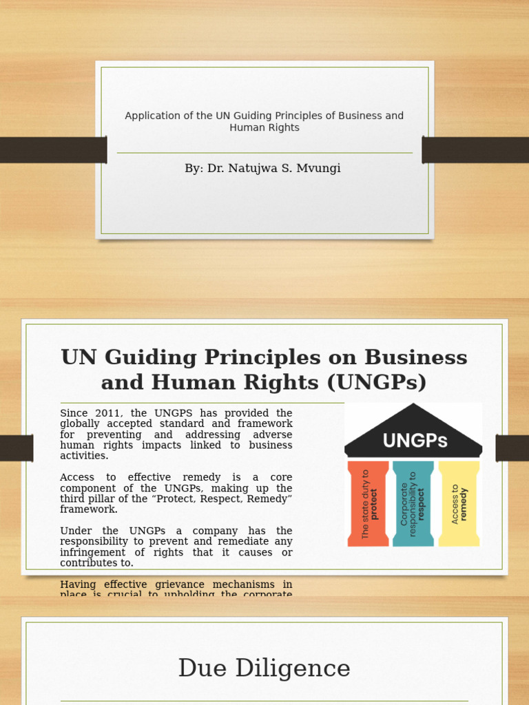 Part 1 Application of The UN Guiding Principles of Business | PDF ...