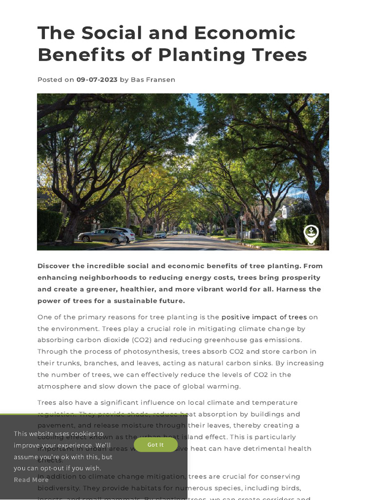 The Social and Economic Benefits of Planting Trees | PDF | Climate ...