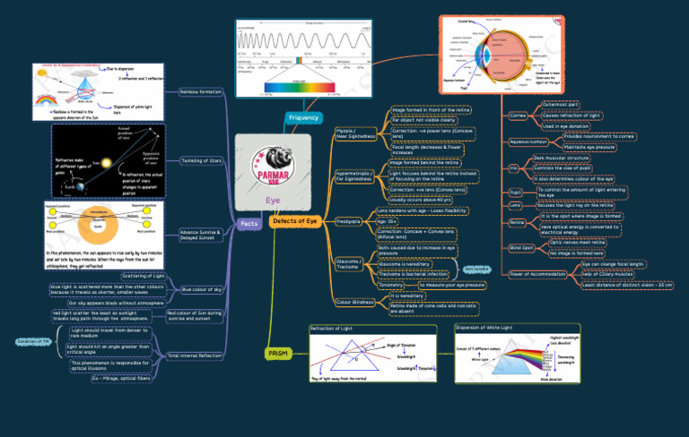Anatomy and Defects of the Eye | PDF | Eye | Optics