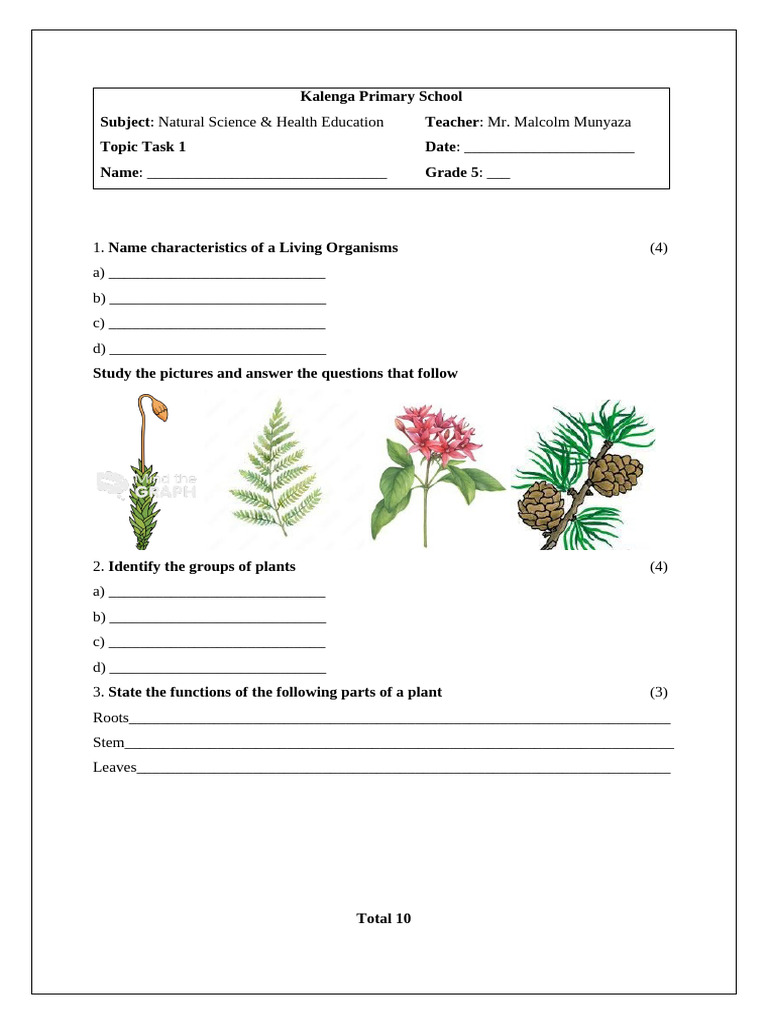 Test Plants Natural Science & Health Education | PDF