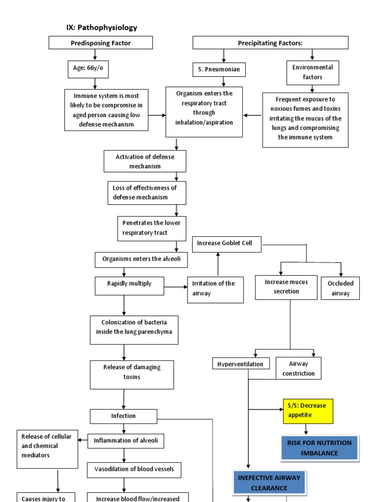 Precipitating Factors in Pneumonia | PDF | Science & Mathematics