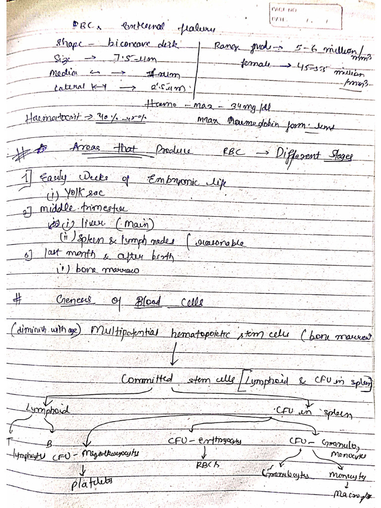 Short Notes of Blood Physiology | PDF