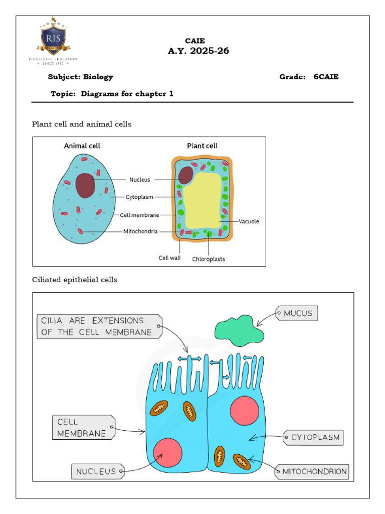 Diagrams For Chapter 1 | PDF