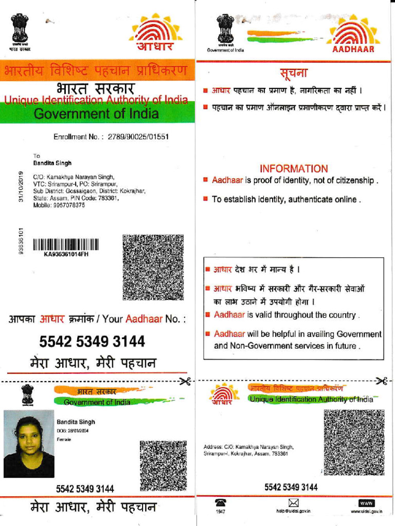 Aadhaar Card Identity Information | PDF