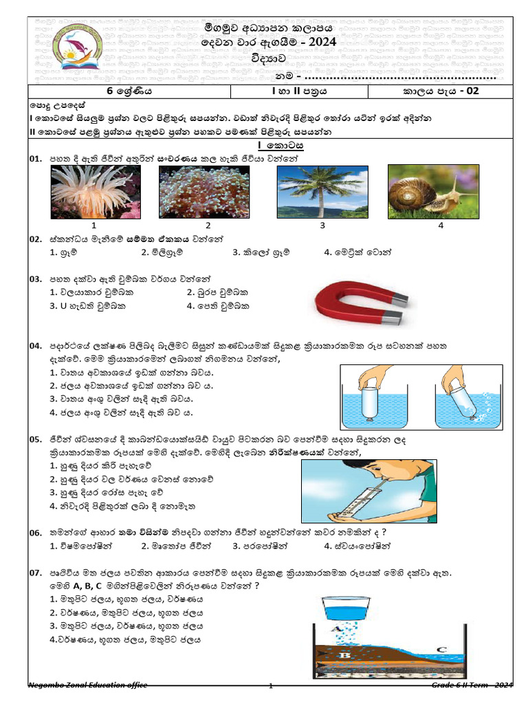 Grade 06 Paper II Term 2024-SM Final | PDF