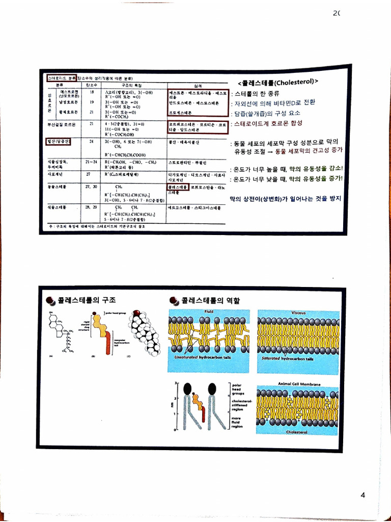 생물 20240520 | PDF