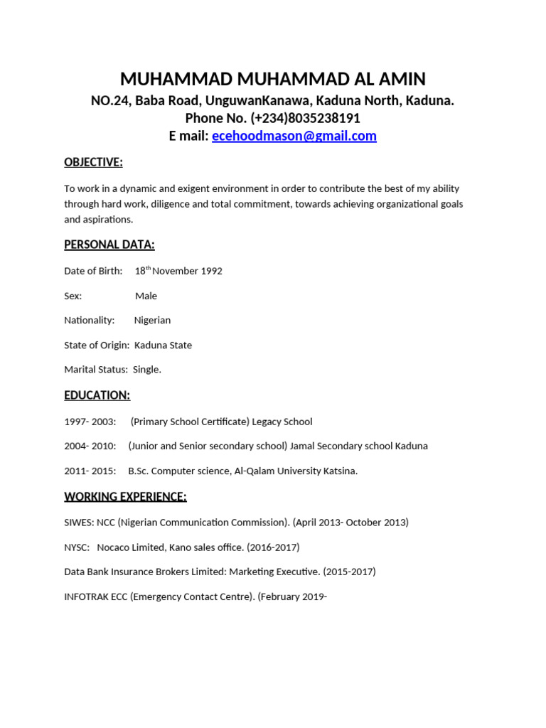 Muhammad Al Amin - CV and Experience | PDF