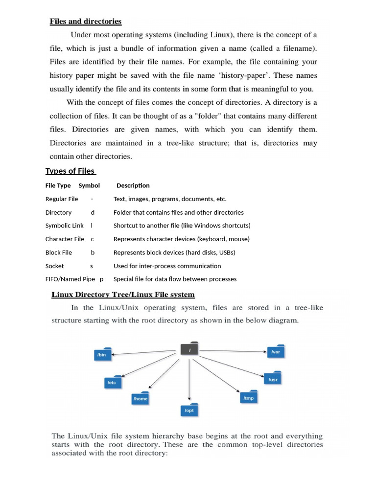 Files and Directories | PDF