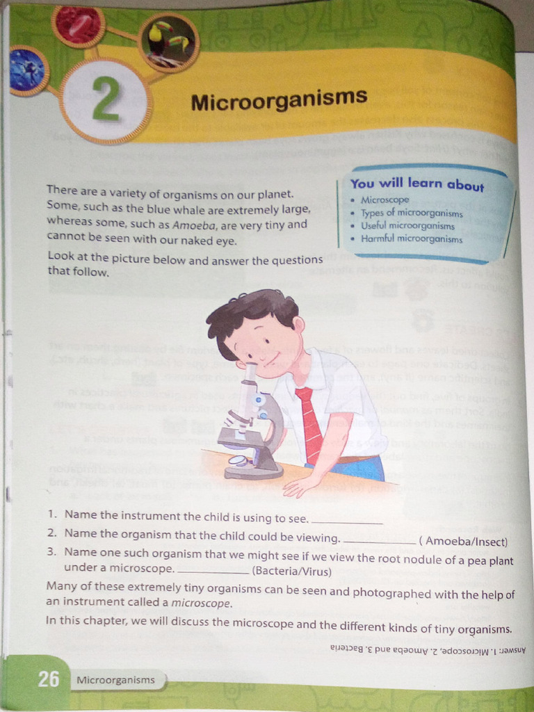 Ch05 Microorganisms M01 | PDF