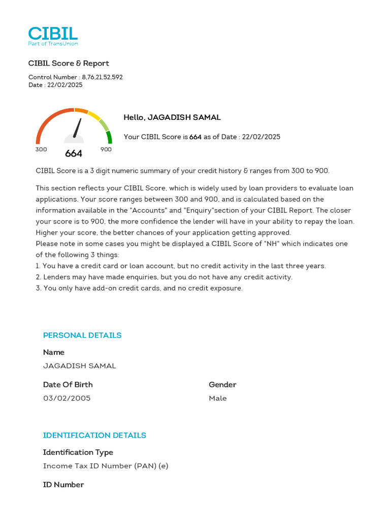 CIBIL Report Summary for Yuvarajfi | PDF | Finance & Money Management ...
