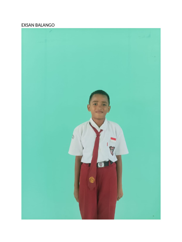 Exsan Balango | PDF
