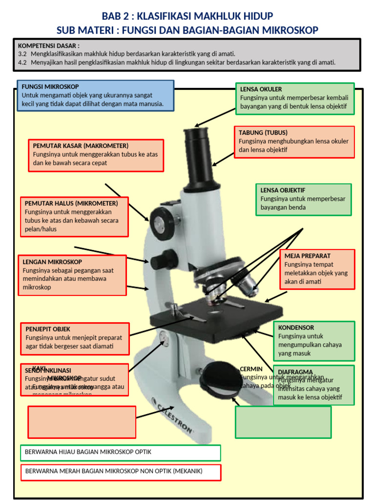 LKPD MIKROSKOP | PDF
