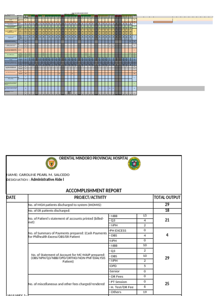 Monthly Accomplishment Report 2025 | PDF | Public Services | Social Programs