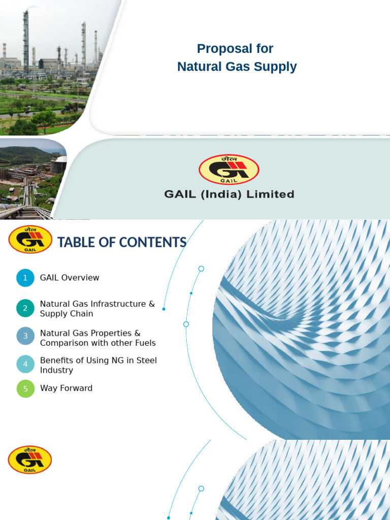 Natural Gas Supply Proposal Overview | PDF | Hydrocarbons | Fuel Gas