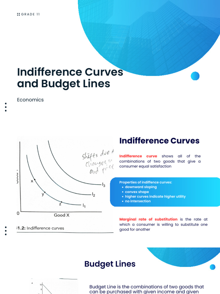 Indifference Curves and Budget Lines | PDF | Business Economics | Economic Theories