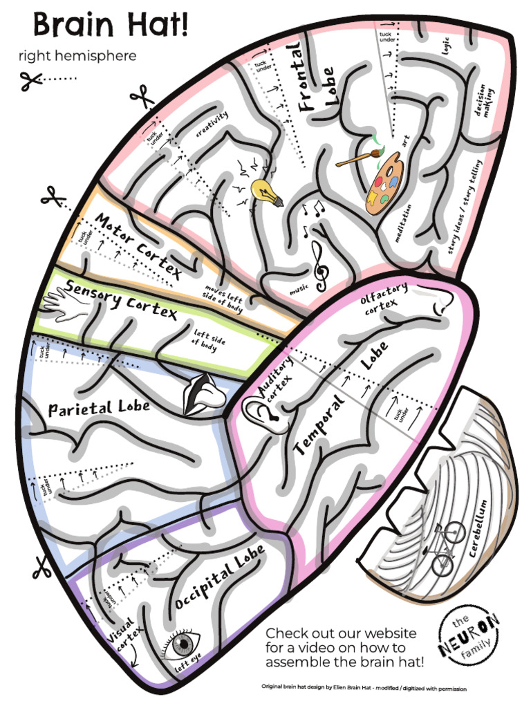 Adult Brain Hat | PDF