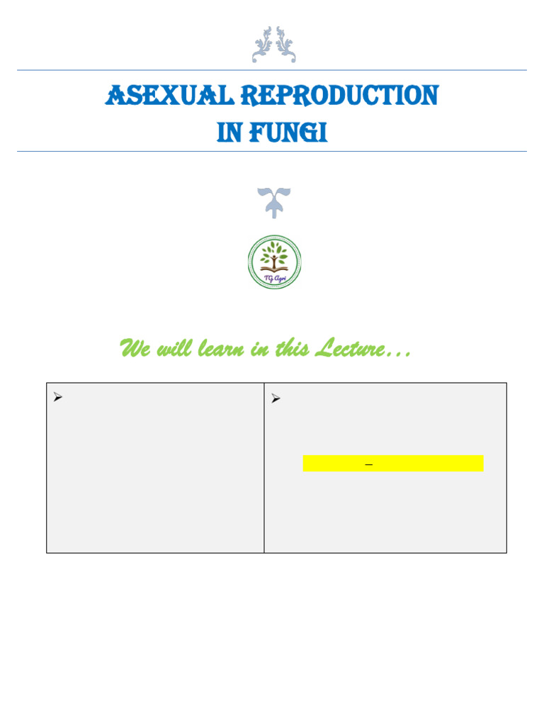 Asexual Reproduction in Fungi | PDF | Spore | Sexual Reproduction