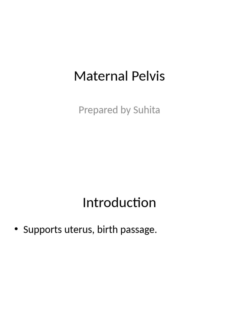 Maternal Pelvis | PDF