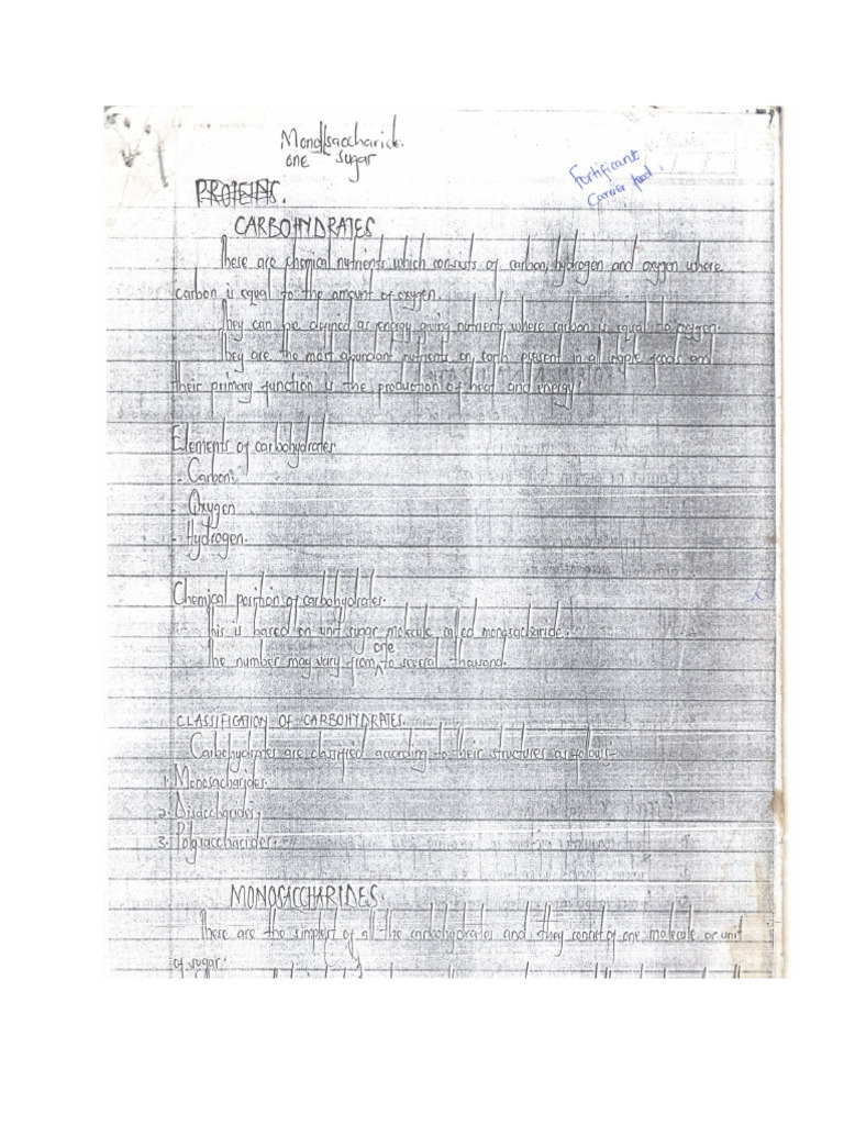 Nutrition Notes | PDF