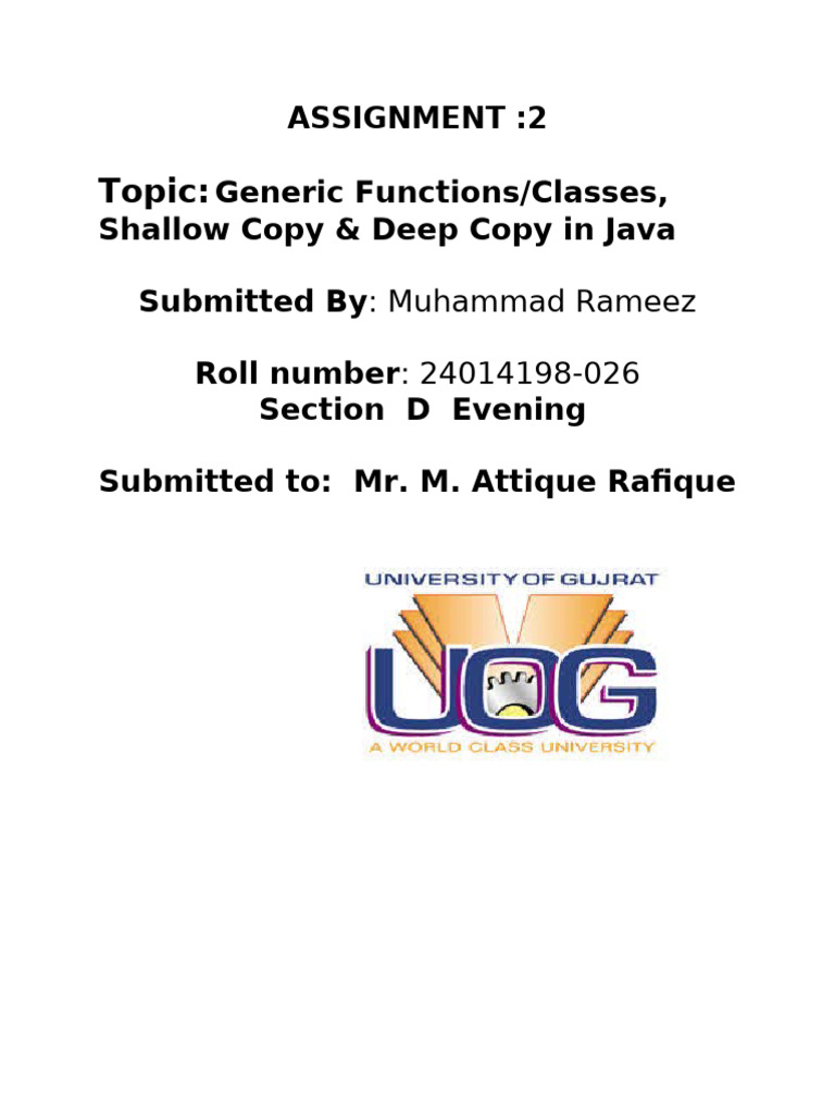 Assignment-02 Oop Rameez | PDF | Systems Engineering | Computer Science