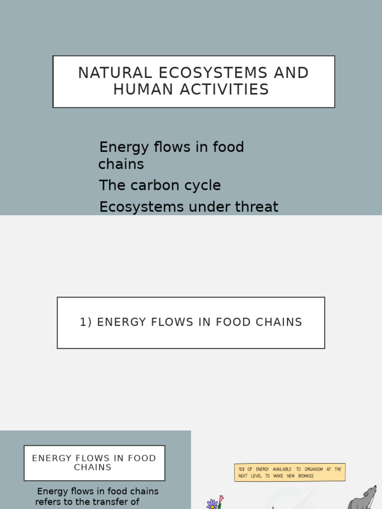 Evm Seminar Pt2 Natural Ecosystems and Human Activites | PDF ...