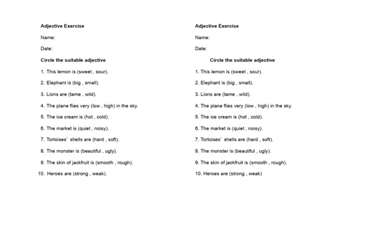 Adjective Exercise Adjective Exercise | PDF