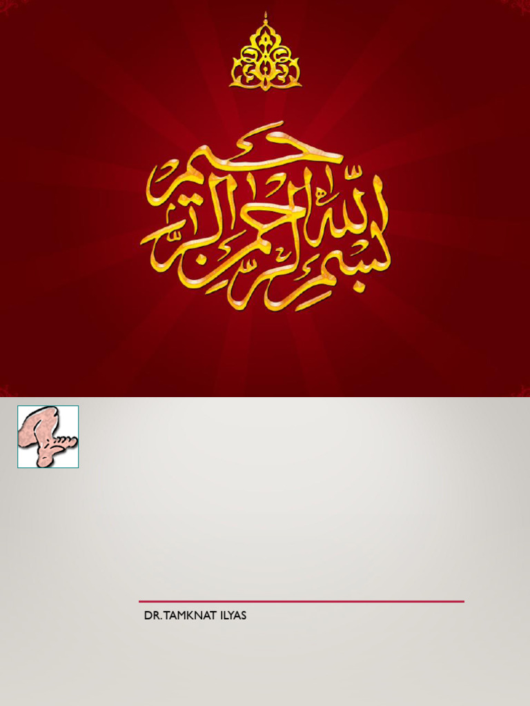 LECT 21 B. Pes Arches and Compartments | PDF