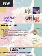 Cycas and Pinus: Morphology & Reproduction | PDF | Leaf | Plant Stem