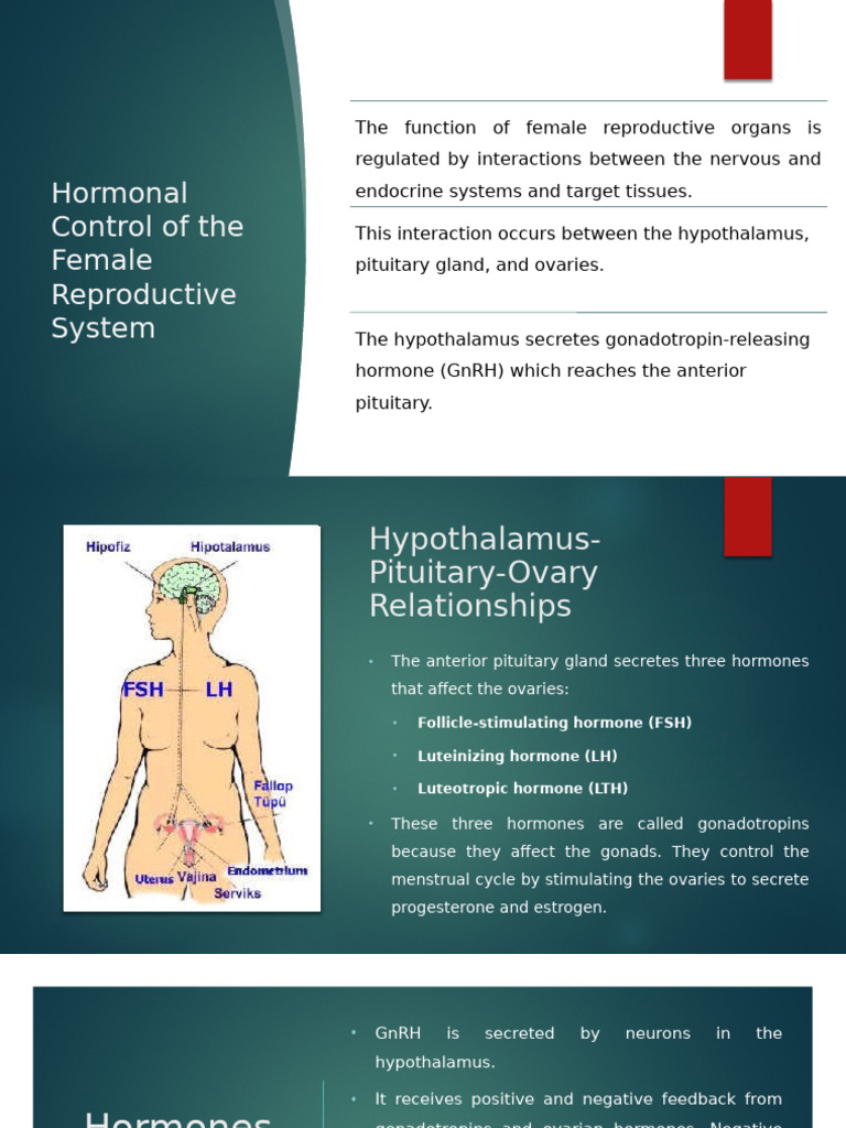 4.hormonal Control of The Female Reproductive System and Reproductive ...