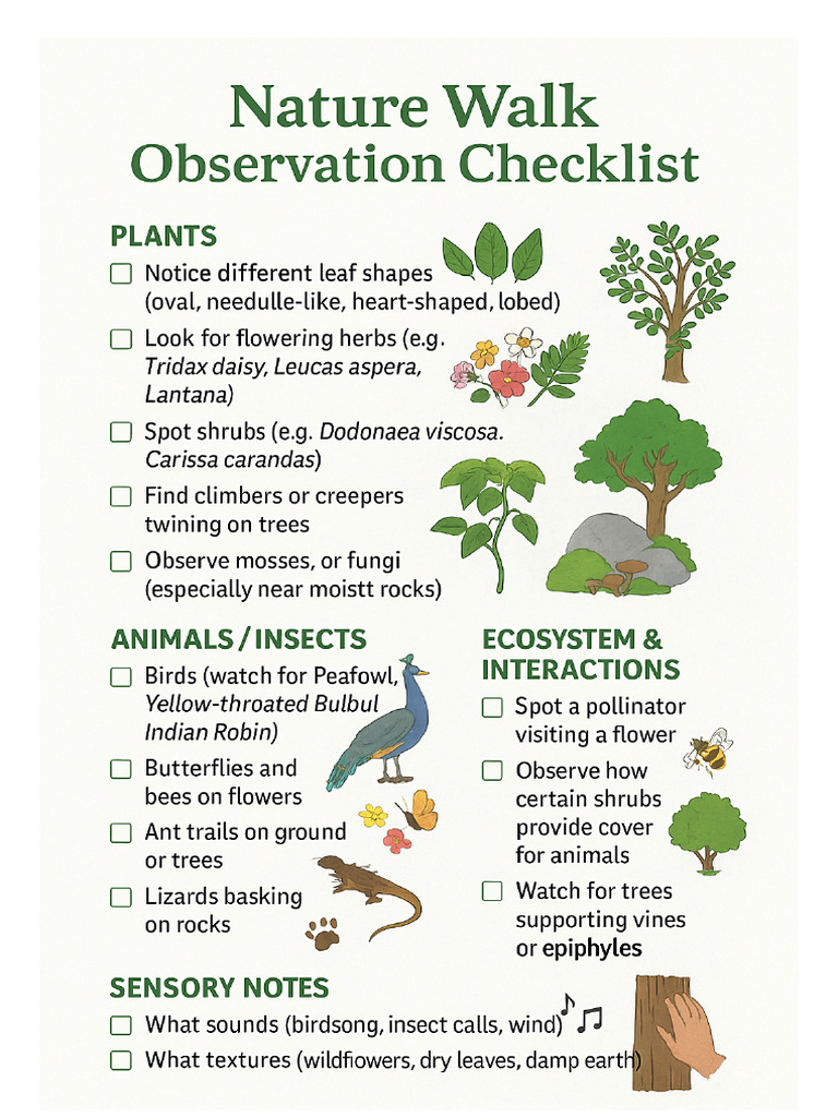 Nature Walk Observation Checklist | PDF