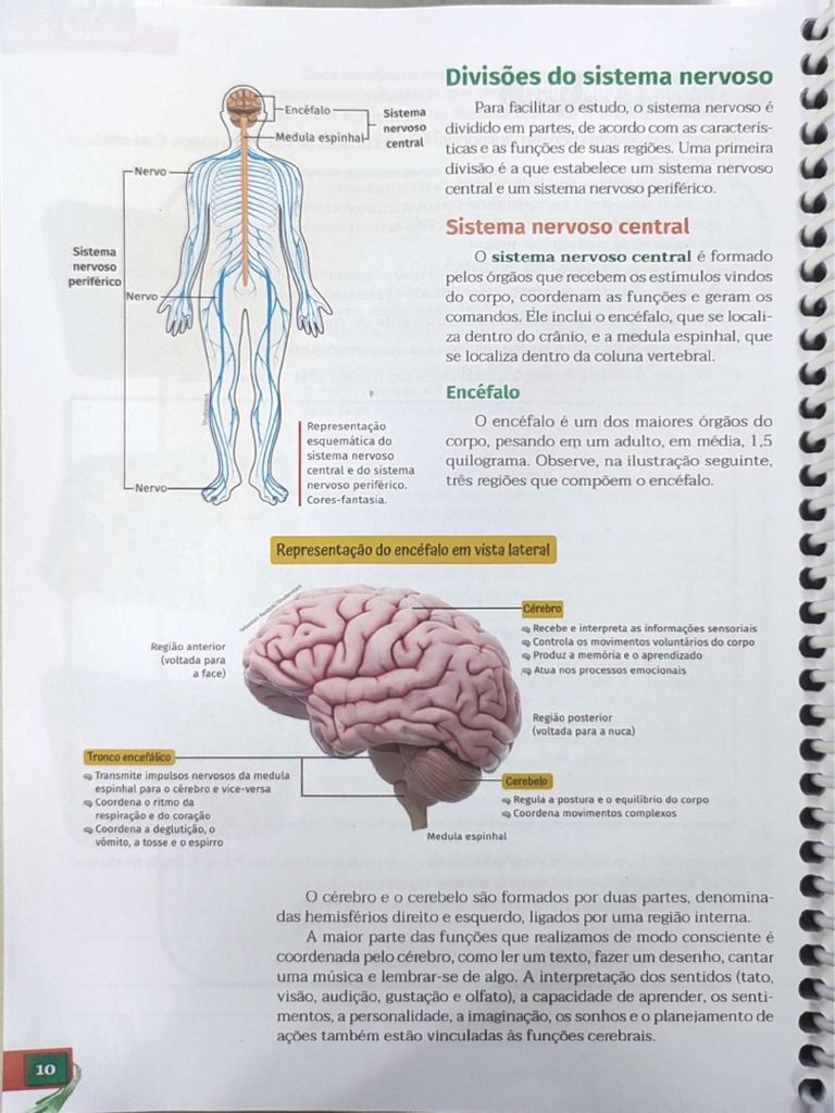 Biologia Part 2 - Compressed | PDF
