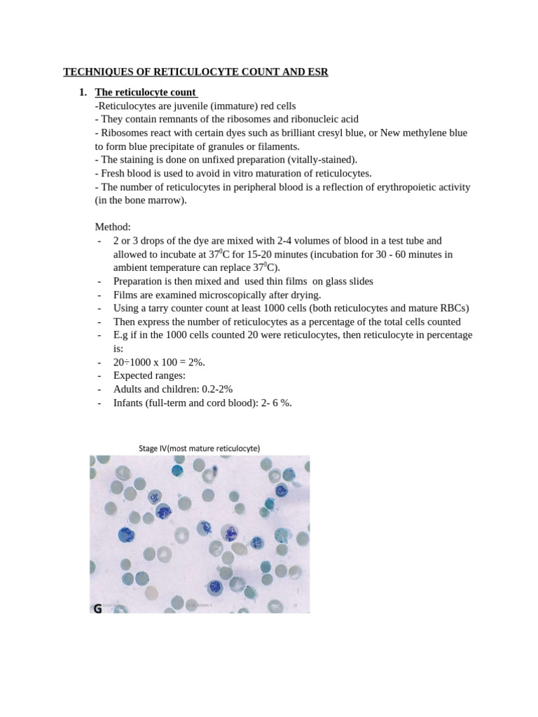 Techniques of Reticulocyte Count and Esr 30.4.2024 | PDF | Red Blood ...