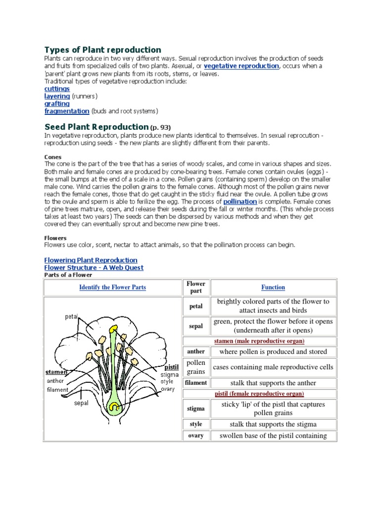 Types of Plant Reproduction | PDF | Sexual Reproduction | Plant ...