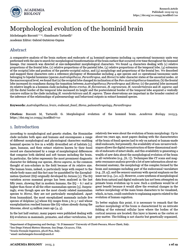 Morphological Evolution of The Hominid B | PDF | Homo | Hominidae