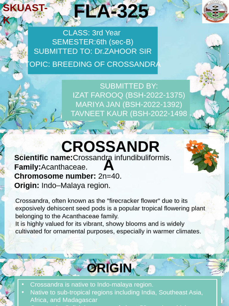 Breeding Techniques for Crossandra | PDF | Flowers | Cultivar