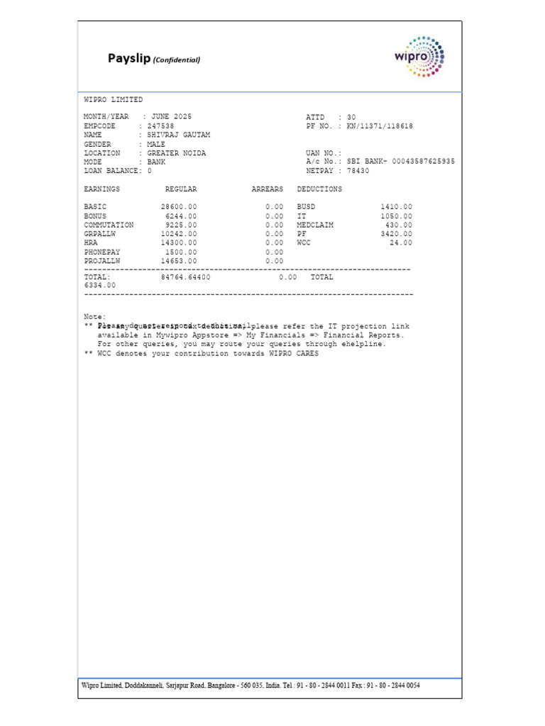 June 2025 Payslip Summary | PDF