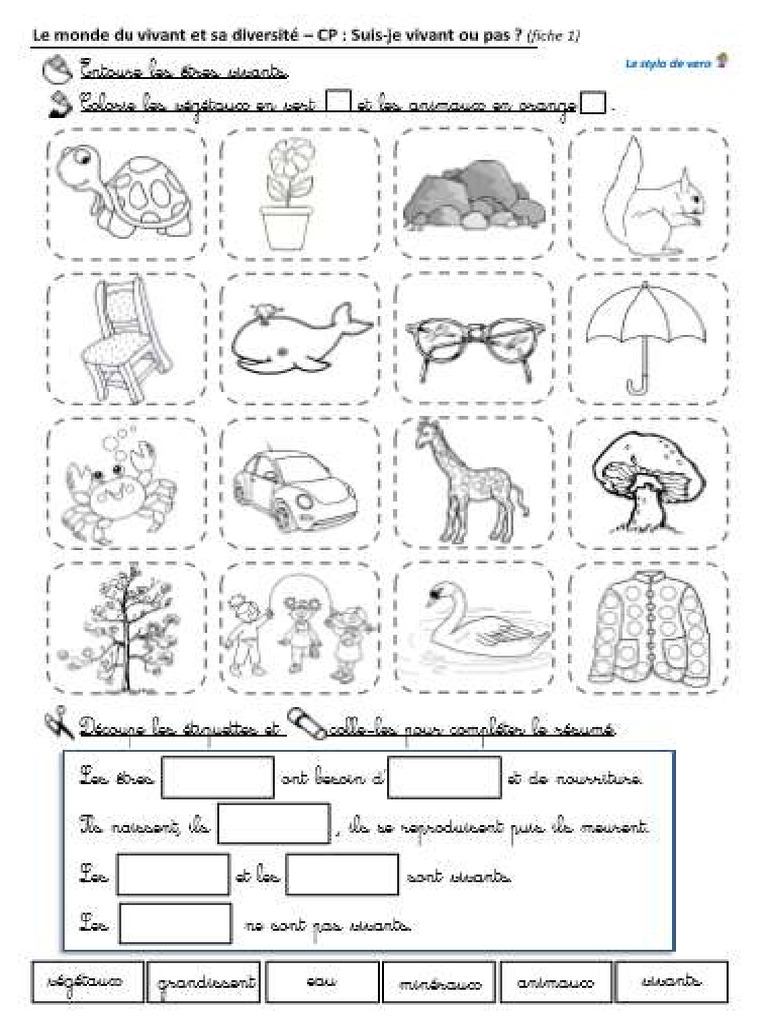 Vivant Non Vivant CP | PDF