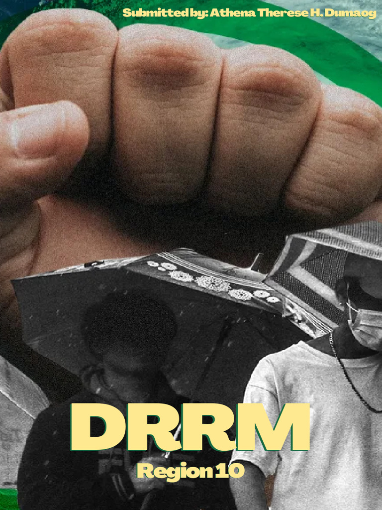 The Regional Disaster Risk Reduction Council 10s Plans and Programs For ...