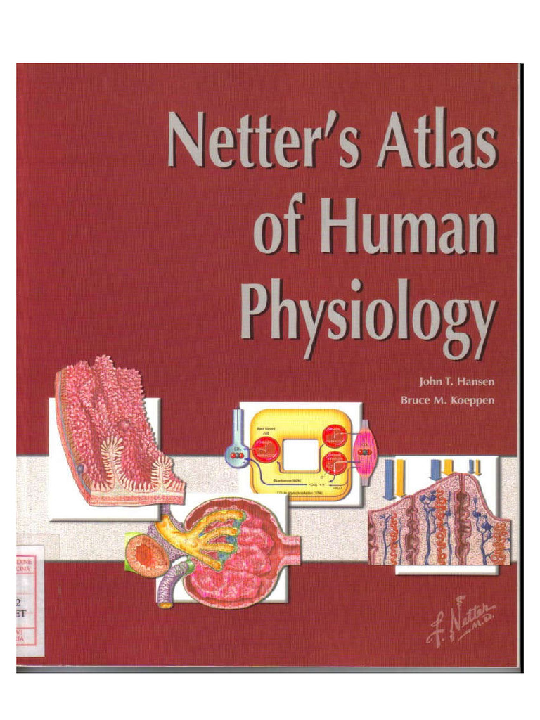 Bản Dịch Atlas Netter Sinh Lý | PDF