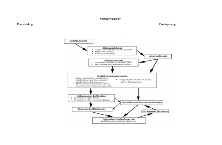 Path o Physiology | PDF
